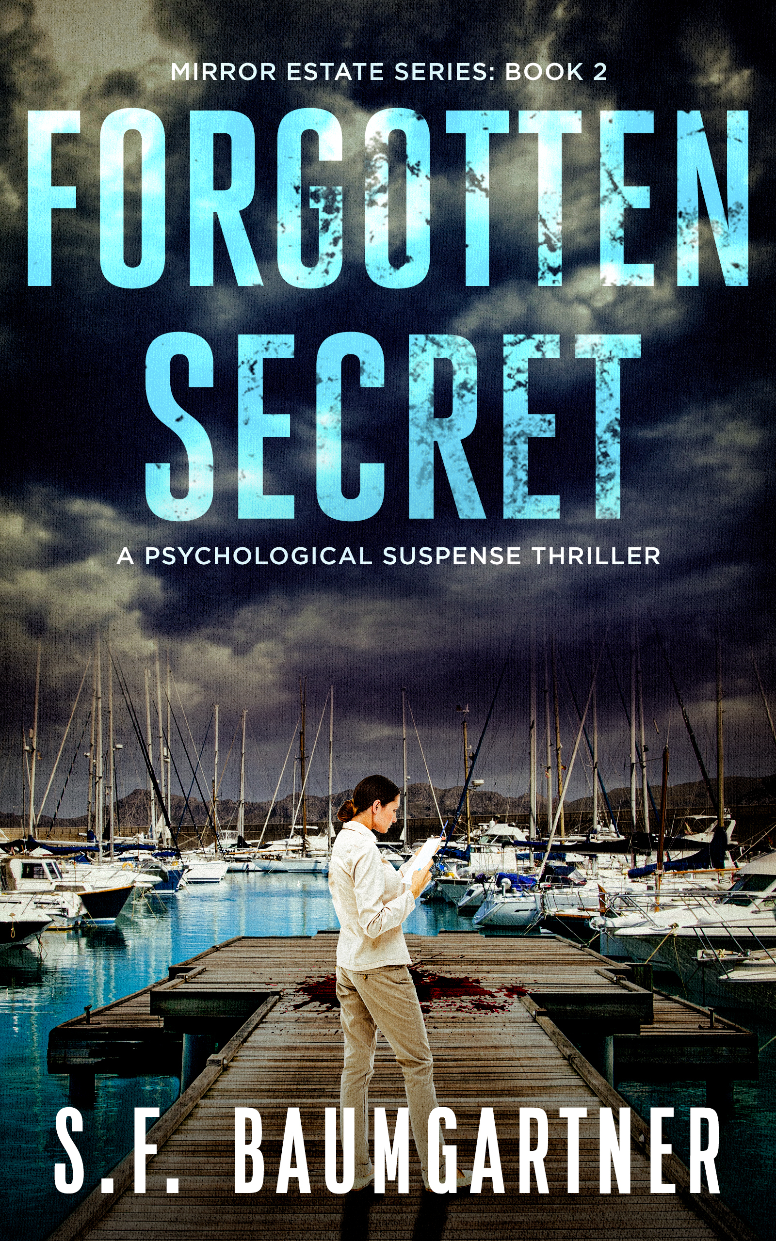 Book Cover – S.F. Baumgartner – Mirror Estate 2.0 – Forgotten Secret ...