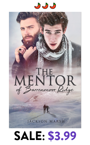 Book Bash: Light Contemporary Romance Reads – BookMojo